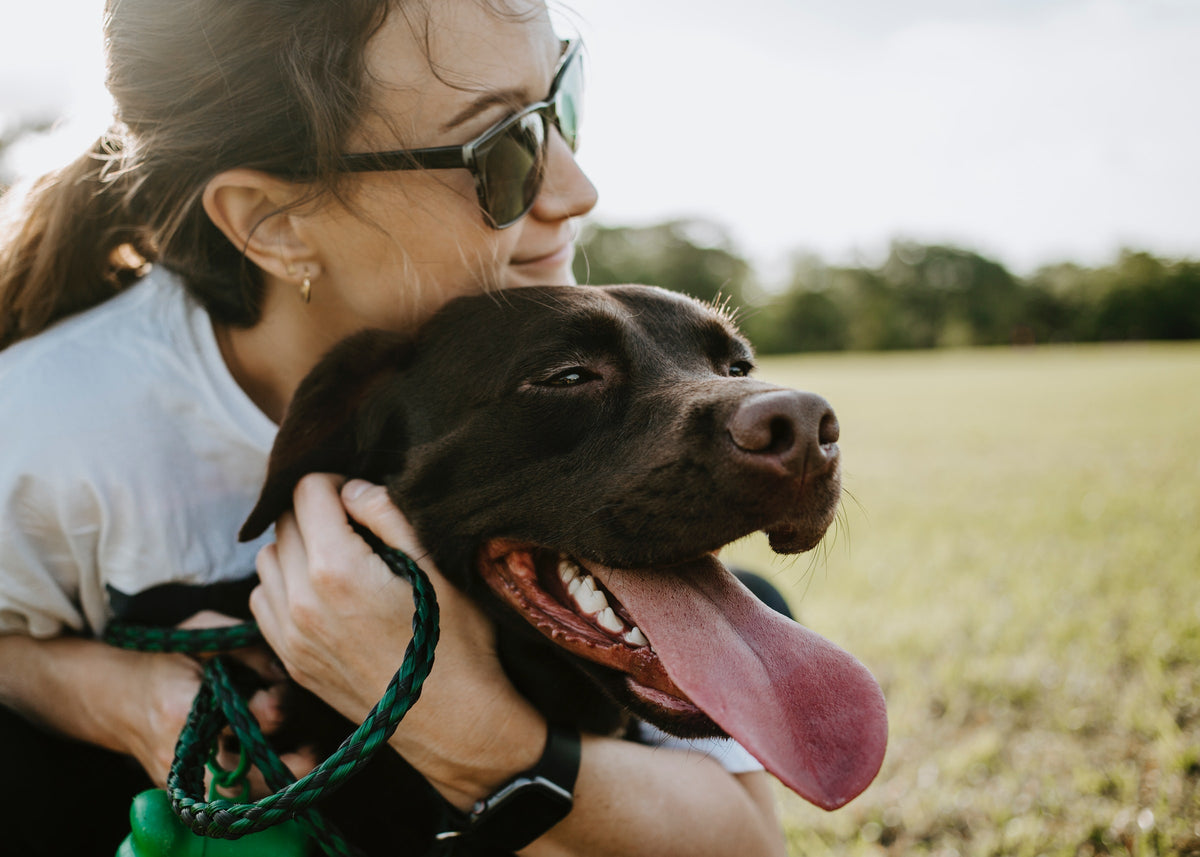 Why Dogs and Humans love each other? – Puppy Paw Pets